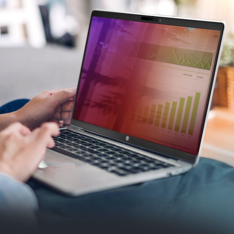 StarTech.com 14-inch 16:9 Laptop Privacy Screen, Reversible Gold Filter ...